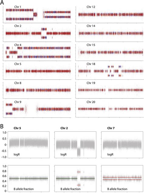 Figure S3 Subclonal Copy Number Variation In Pd4120a Related To