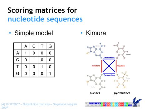 Ppt Substitution Matrices In Sequence Analysis Powerpoint Presentation Id 9346997