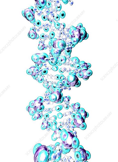 DNA Molecule Computer Artwork Stock Image G Science Photo Library