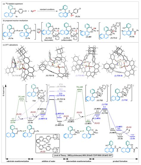 湖南师大杨星 新加坡科技研究局章兴龙angew：联芳基氧氮杂䓬化合物的催化不对称水解开环反应 X Mol资讯