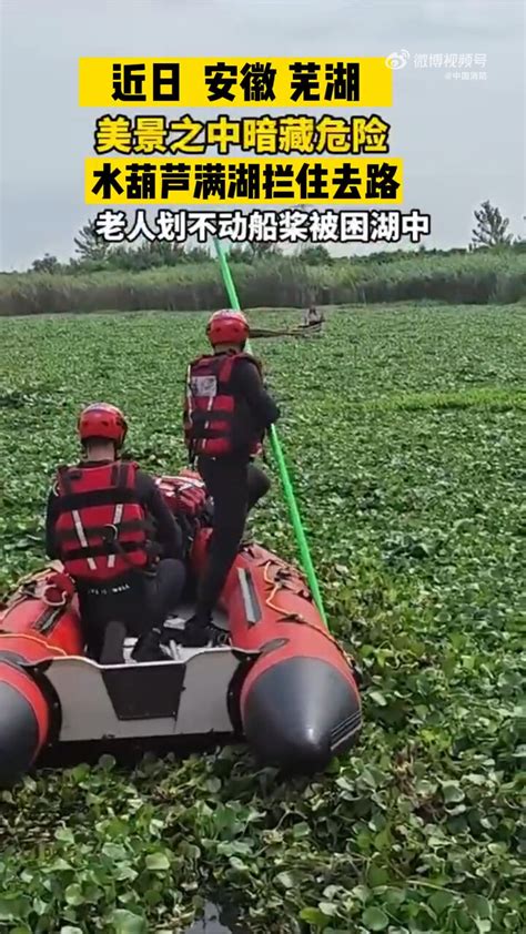消防员从绿草中救了红盖头的大爷腾讯新闻