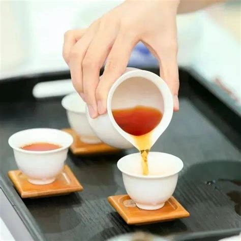 为什么都说喝茶健康 研究 茶叶 概率