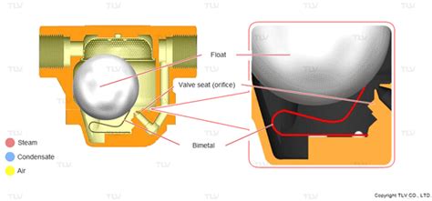 How Bimetal Type Thermostatic Steam Traps Work A Look At Their