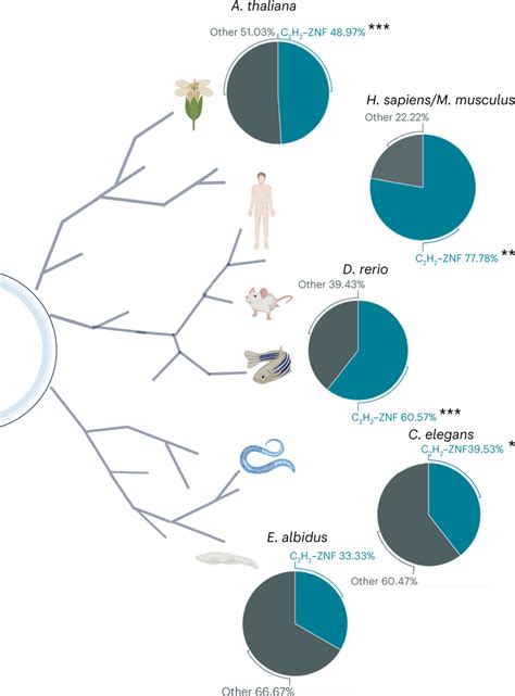 The C H Model Is Conserved In Other Non Mammal Species Overview Of The Download Scientific