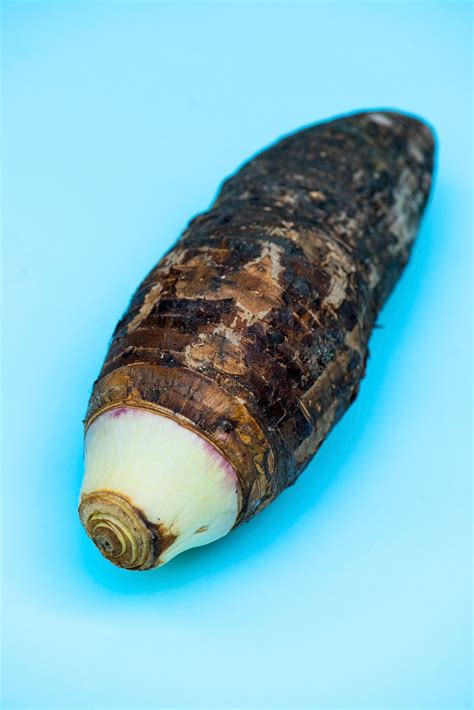 Dasheen Images Free Photos Png Stickers Wallpapers And Backgrounds Rawpixel