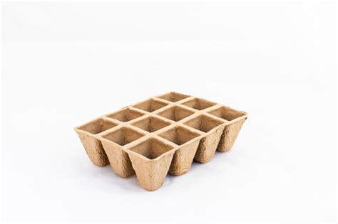 식물 성장을 위한 생분해성 소재의 유기농 종자 스타터 화분 0명에 대한 스톡 사진 및 기타 이미지 0명 개발 계절 Istock