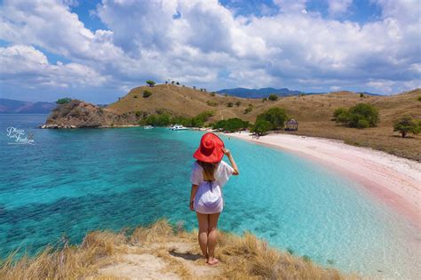 Pink Beach Komodo Island Indonesia