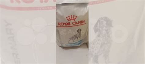 Royal Canin гипоаллергенный сухой корм для собак купить в Санкт ...