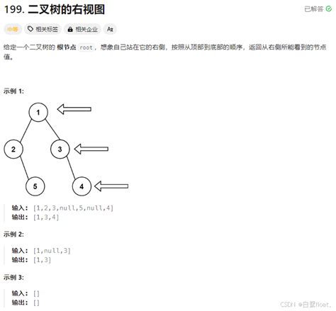 【算法速刷6100】leetcode —— 199二叉树的右视图 Csdn博客