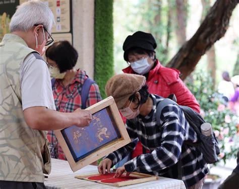 台北茶花展15開展 最美花容不容錯過 【快讀版】台北新聞