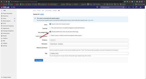 Setup On Premise Gitlab Server Runner Cicd And Nginx Configuration