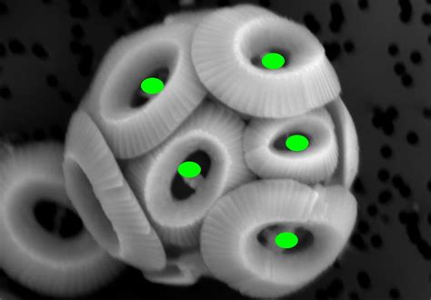 Converting Stacked Rgb Images To Binary Image Analysis Imagesc Forum