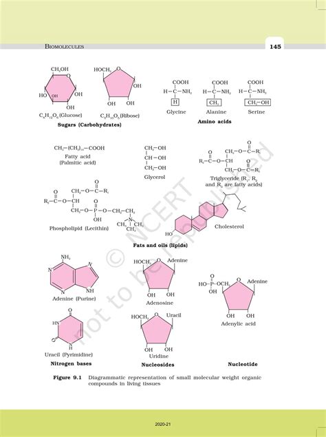 Biomolecules NCERT Book Of Class Biology