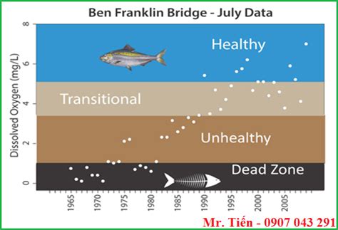 Tìm hiểu về nồng độ Oxy hòa tan trong nước DO Dissolved Oxygen Ảnh hưởng của hàm lượng Oxy