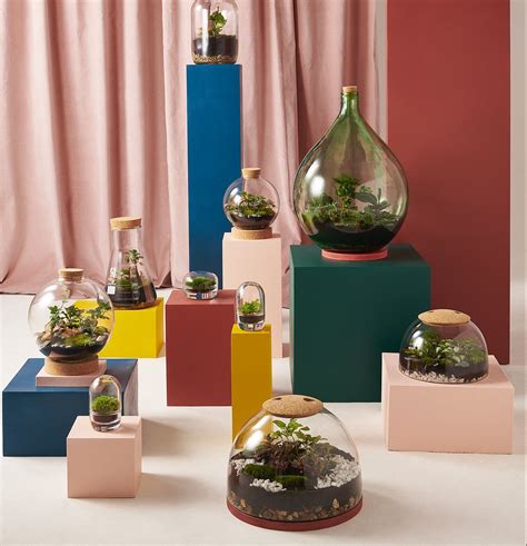 London Terrariums Photos At William Marciniak Blog