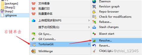 Tortoisegit使用winmerge合并代码 Csdn博客