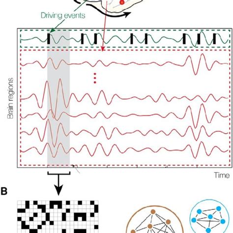 Measuring Intrinsic Ignition A Events Were Captured Applying A