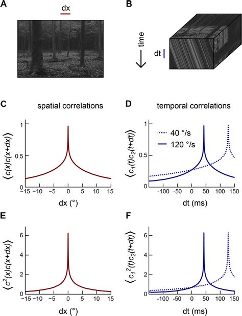 Figures And Data In Nonlinear Circuits For Naturalistic Visual Motion