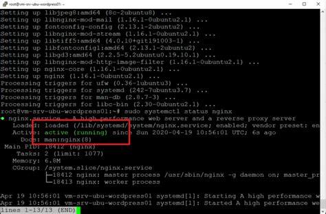 Installazione Di Wordpress Su Ubuntu Server Con Nginx Mariadb E