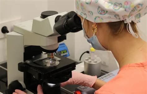 Differences Between Ivf And Artificial Insemination Vida Fertility