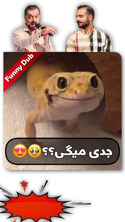 ‎رضا عبدی بازیگر دوبلور مشاور عملگرایی‎ ‎این آقا خونگیره هستم