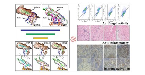 Novel Aryl Alkamidazole Derivatives As Multifunctional Antifungal