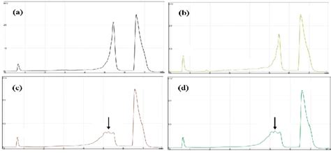 Observed Chromatograms Patterns Of Aac 6´ Ib And Aac 6´ Ib Cr Gene Download Scientific