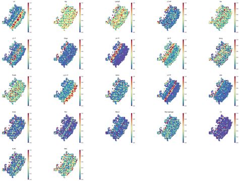 Tutorial For Cell Cell Communication Prediction For Single St Data With Deeptalk — Deeptalkst 0