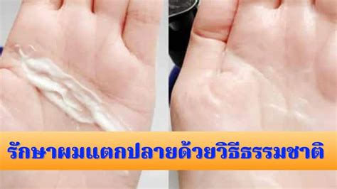 รักษาผมแตกปลายด้วยวิธีธรรมชาติ