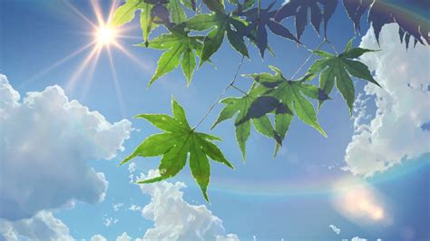 Makoto Shinkai Wallpapers 92 Images