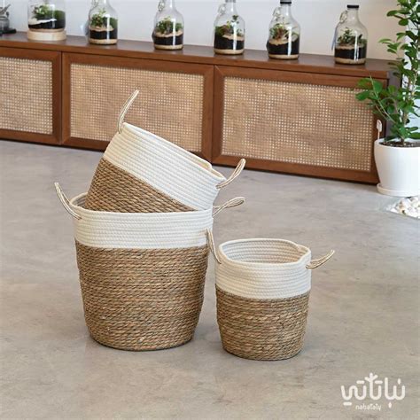 طقم سلال خوص طولي ابيض متجر نباتاتي