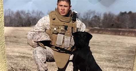Military Working Dogs Like Sgtfieldy Cannot Be Burial At A Veterans
