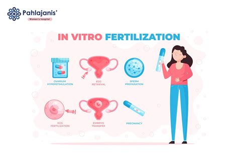 Ivf Protocol For Pcos Patients