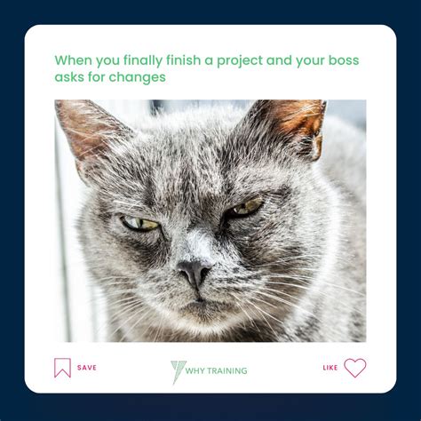 Why Training On Linkedin Projectlife Projectlife Justwhenithought Revisiontime Workneverends