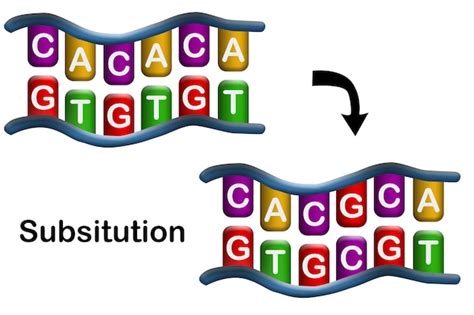 premium photo substitution mutation error during dna replication