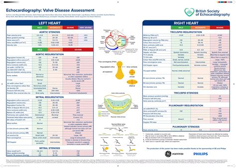 Pua006 Valve Disease Assessment Posterprint Readypdf