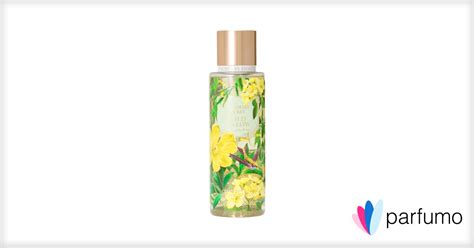 Wild Willow By Victorias Secret Reviews And Perfume Facts