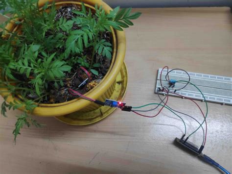 The Top IoT Projects For Enhancing Everyday Life