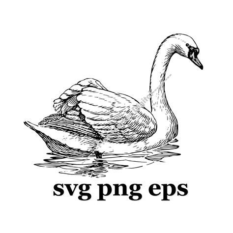 Swan SVG PNG EPS Clipart Etsy