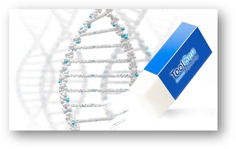 툴젠 ‘초소형 Crispr 유전자가위 中 특허등록 바이오스펙테이터