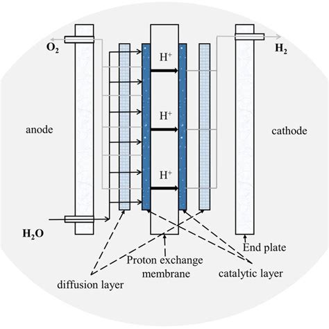 Structure Of Pem Electrolyzer Download Scientific Diagram