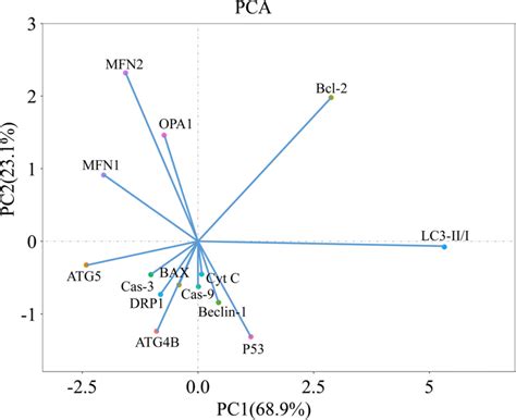 Functional Interactions Network Linking The Significantly Download Scientific Diagram