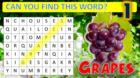 Sopa De Letras De Frutas En Ingles Resuelto En Ingles