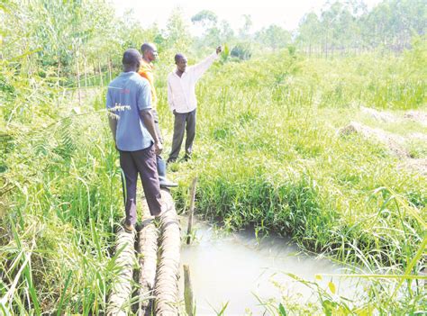 How To Shield Uganda From Extreme Heat Bukedde Online Amawulire