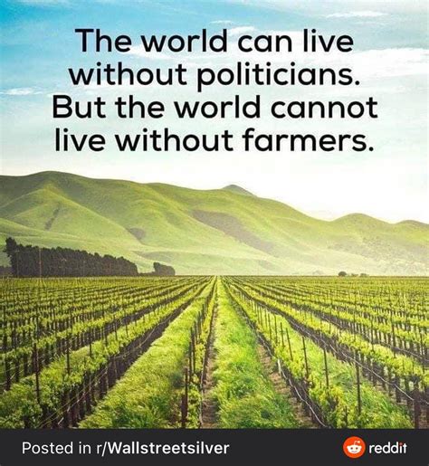 The World Can Live Without Politicians