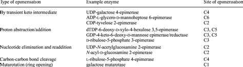 Table Listing Types Of Epimerisation Reactions Catalysed With Example Download Table