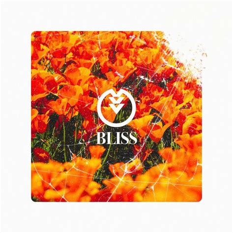 Cartographer Bliss Single 2024 Core Radio