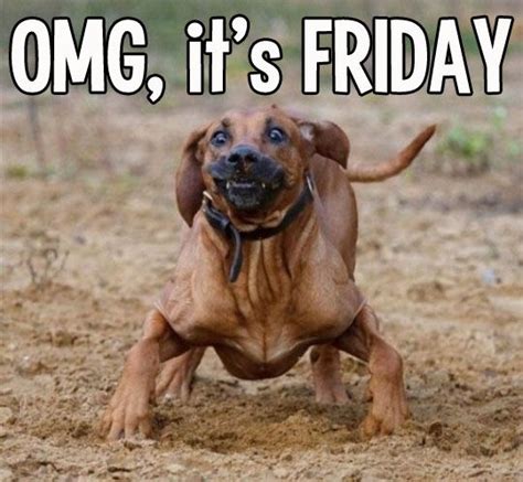 25 Best Memes About Its Friday Meme Its Friday Memes Images Porn Sex Picture