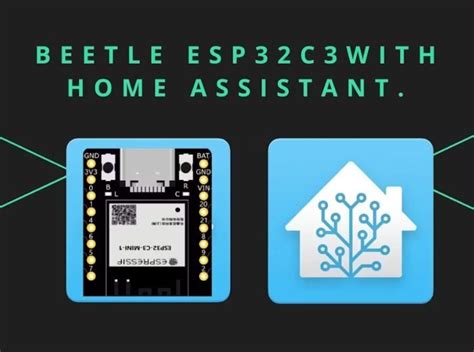 Dfrobot Beetle Esp32 C3 With Home Assistance Esp8266 Maker Pro