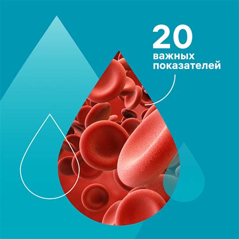 Биохимия крови Сеть клиник «Здоровье